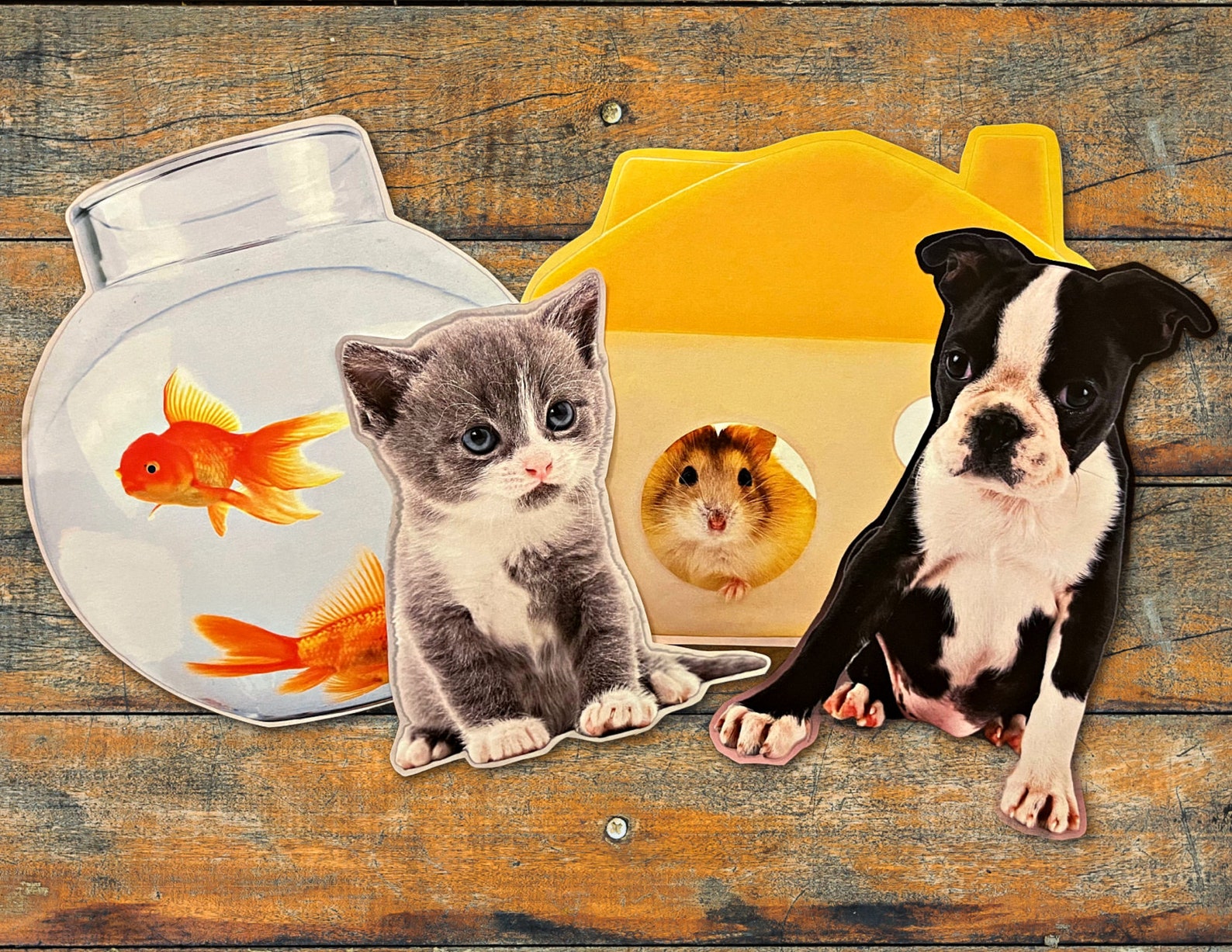 All About Me Bulletin Board | Bulletin Board Kit | Classroom Decor ...