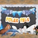 Arctic Animal Bulletin Board | Bulletin Board Preschool | Arctic Animal ...