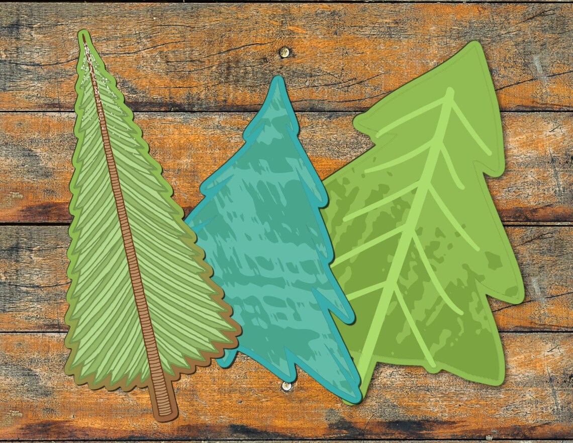 Woodland Bulletin Board | Bulletin Board Decor Preschool | Tree ...