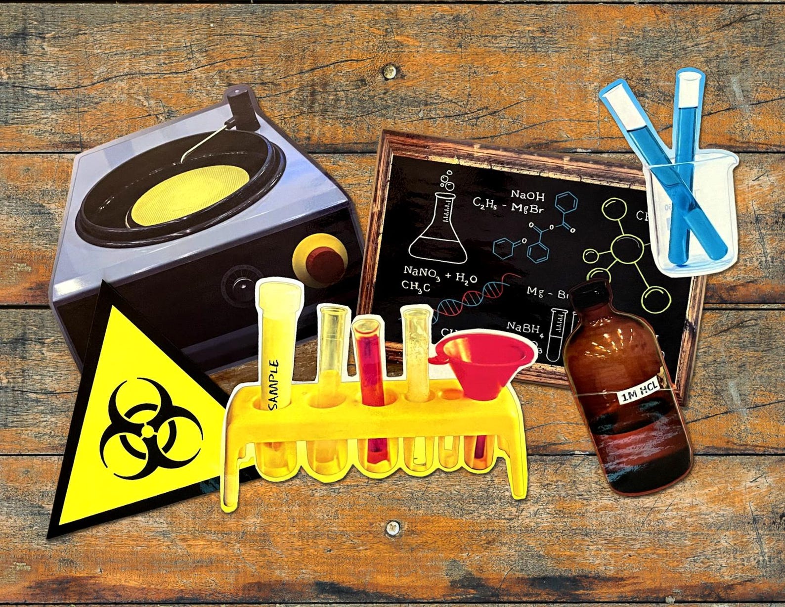 Science Bulletin Board | Bulletin Board Kit | Summer Camp Decor | Door ...