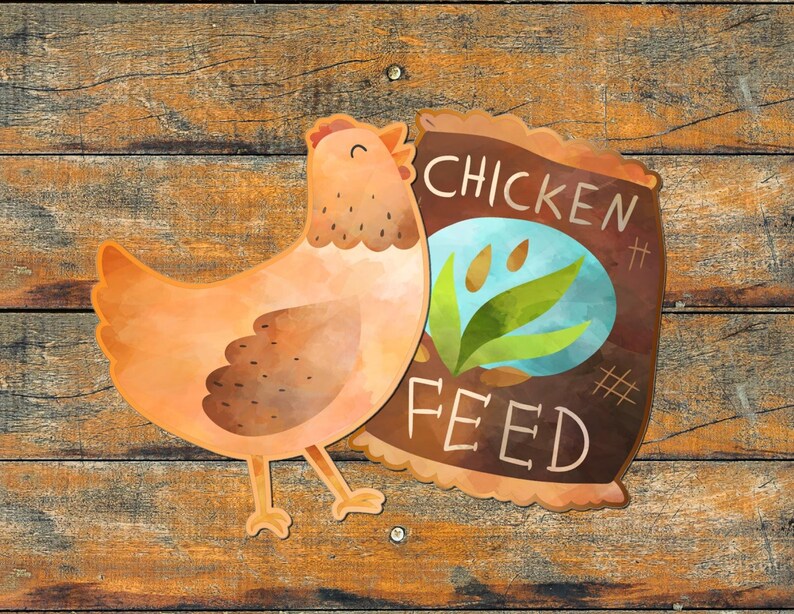 Chicken and Egg Bulletin Board | Bulletin Board Decor | Farm Classroom ...