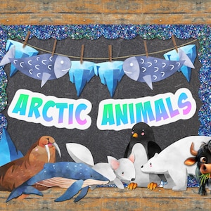 Arctic Animal Bulletin Board | Bulletin Board Preschool | Arctic Animal ...