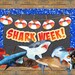 Shark Bulletin Board | Bulletin Board Decor | Shark Decor | Door ...