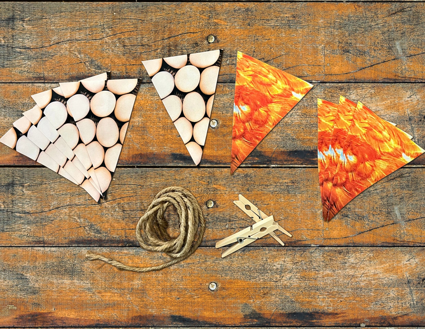 Chicken Coop Bulletin Board | Egg Theme | Farm Classroom Decor | Door ...