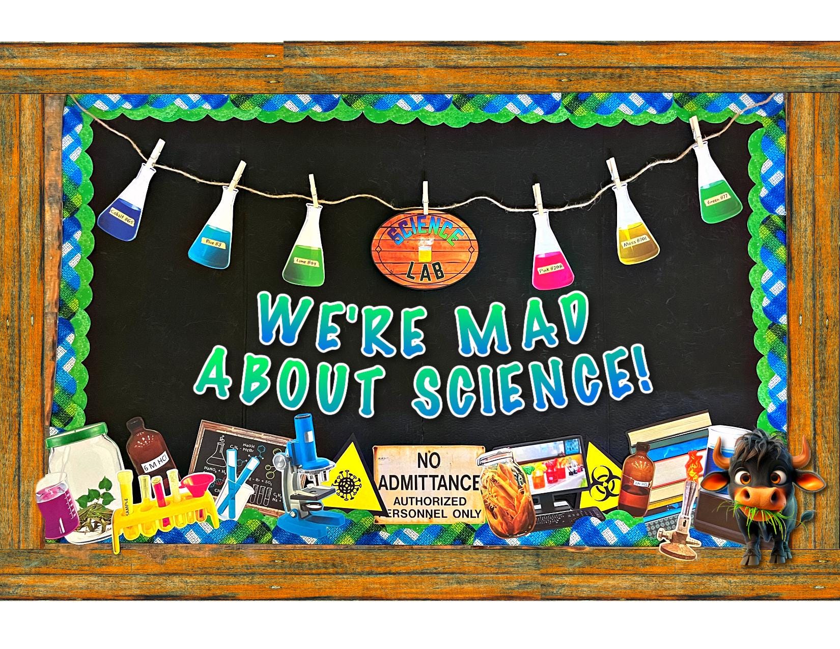 Science Bulletin Board | Bulletin Board Kit | Summer Camp Decor | Door ...