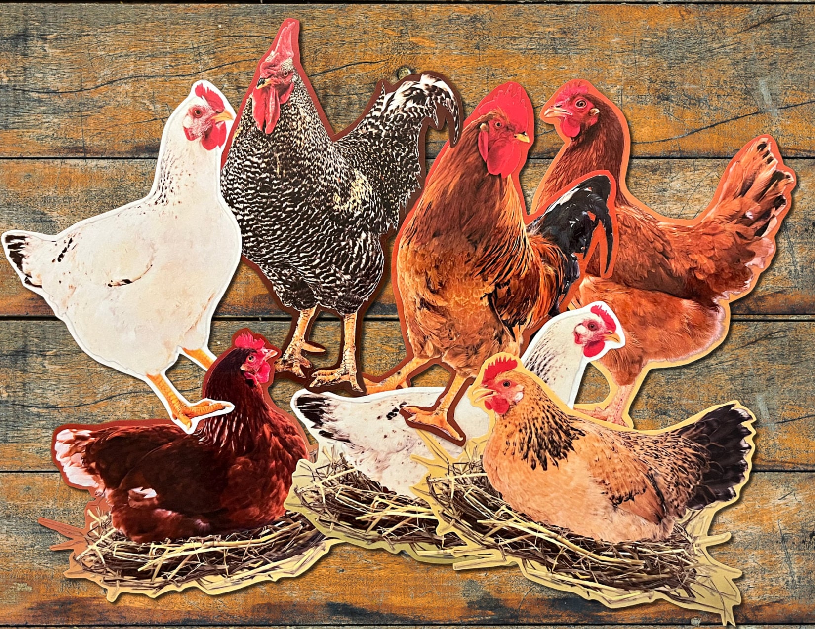 Chicken Coop Bulletin Board | Egg Theme | Farm Classroom Decor | Door ...