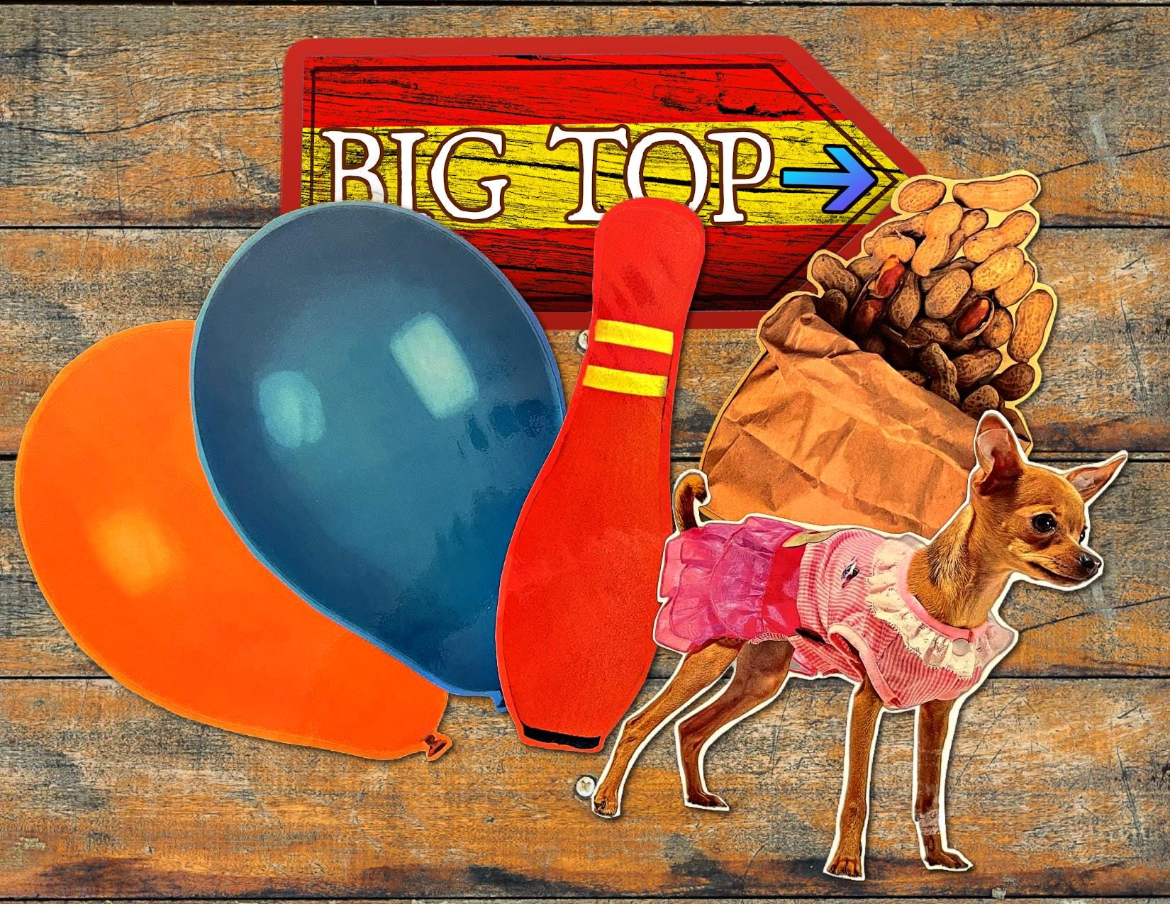 Circus Bulletin Board | Bulletin Board Kit | Summer Camp Decor | Circus ...