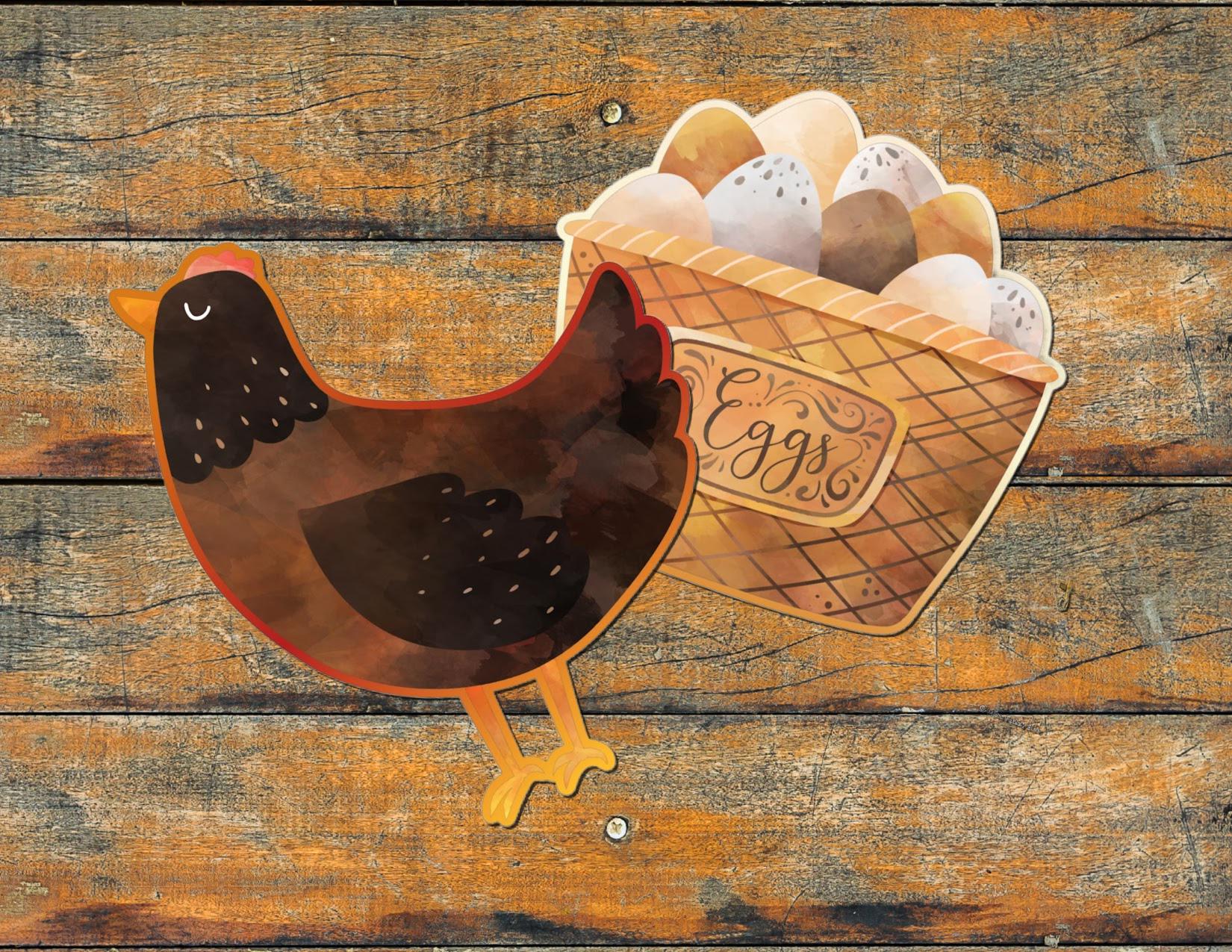Chicken and Egg Bulletin Board | Bulletin Board Decor | Farm Classroom ...