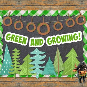 Woodland Bulletin Board | Bulletin Board Decor Preschool | Tree ...