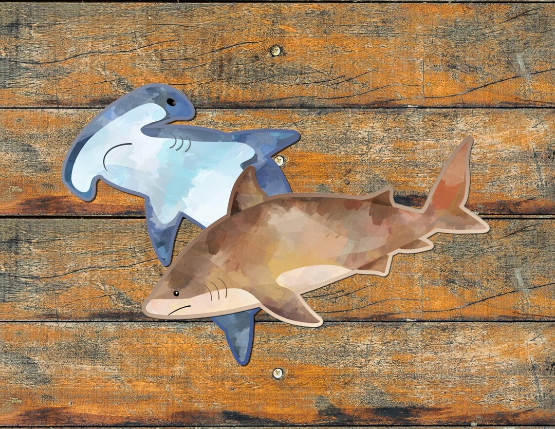 Shark Bulletin Board | Bulletin Board Decor | Shark Decor | Door ...