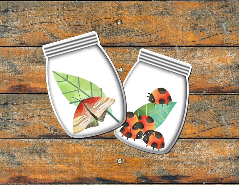 Bugs Bulletin Board | Bulletin Board Preschool | Bug Classroom Decor ...