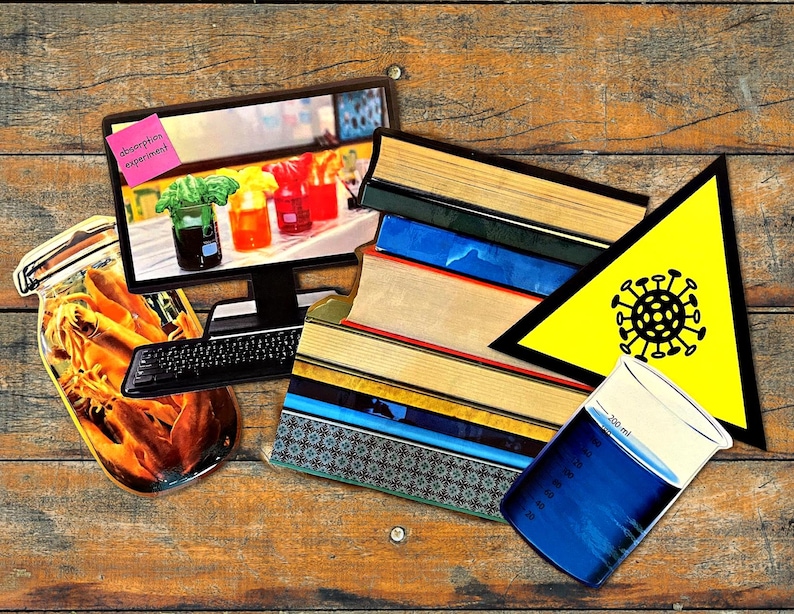 Science Bulletin Board | Bulletin Board Kit | Summer Camp Decor | Door ...