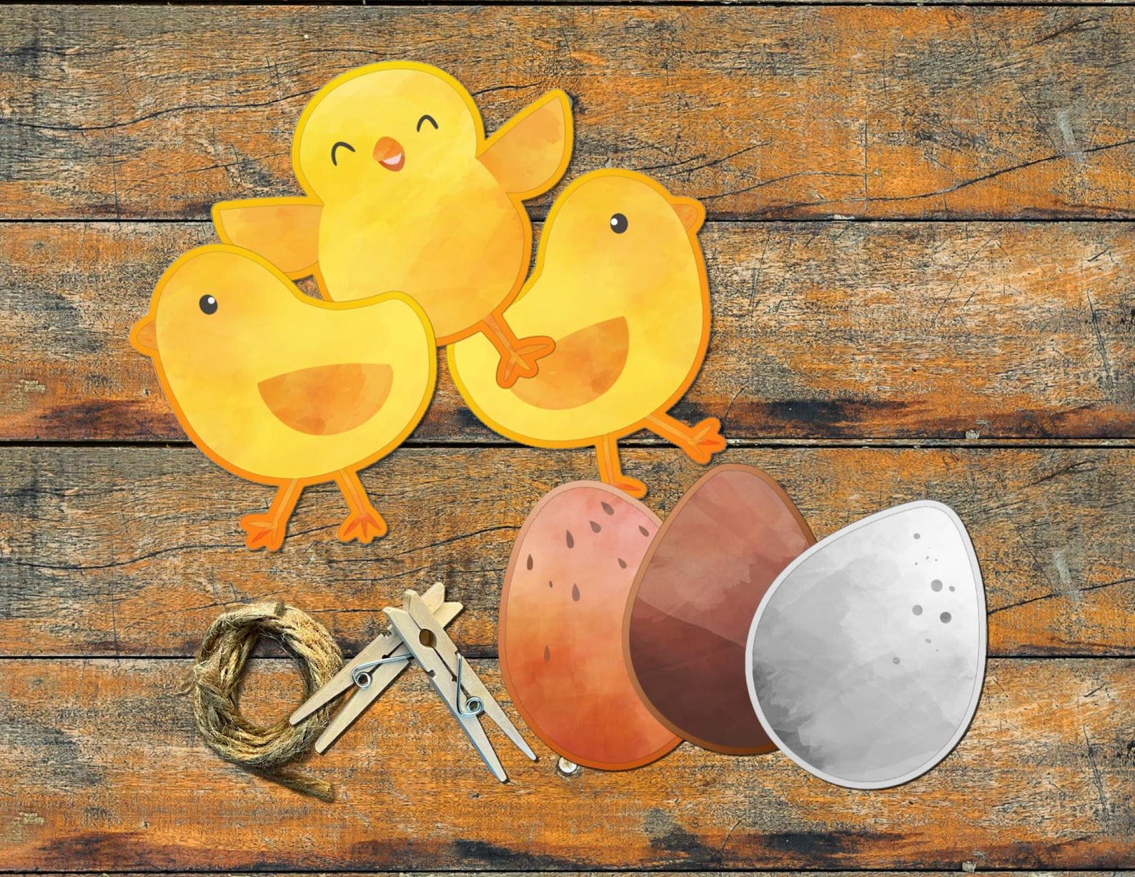 Chicken and Egg Bulletin Board | Bulletin Board Decor | Farm Classroom ...