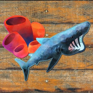 Shark Bulletin Board | Bulletin Board Decor | Shark Decor | Door ...