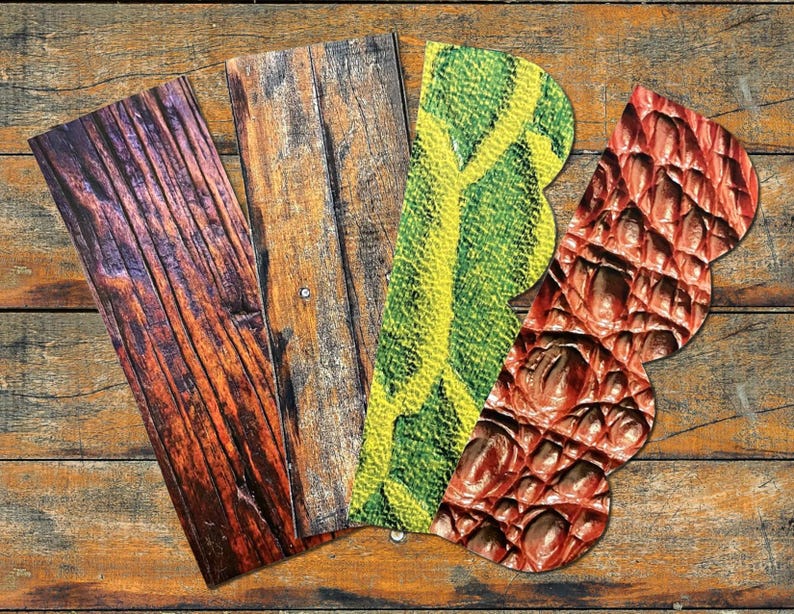 Dinosaur Bulletin Board | Bulletin Board Kit |dinosaur Classroom Decor ...