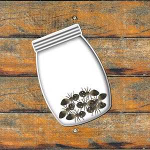 Bugs Bulletin Board | Bulletin Board Preschool | Bug Classroom Decor ...