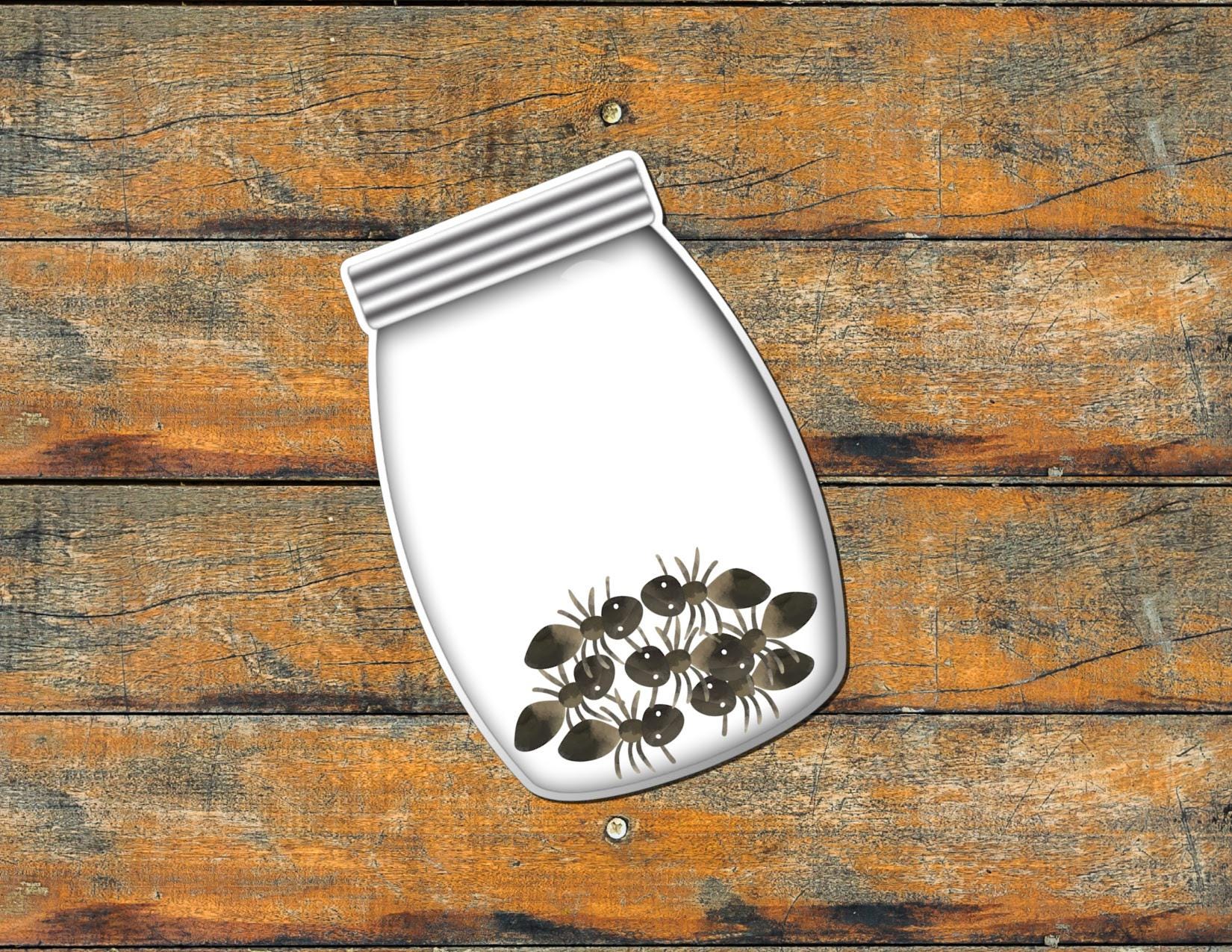 Bugs Bulletin Board | Printable | Bug Classroom Decor | Door Decoration ...