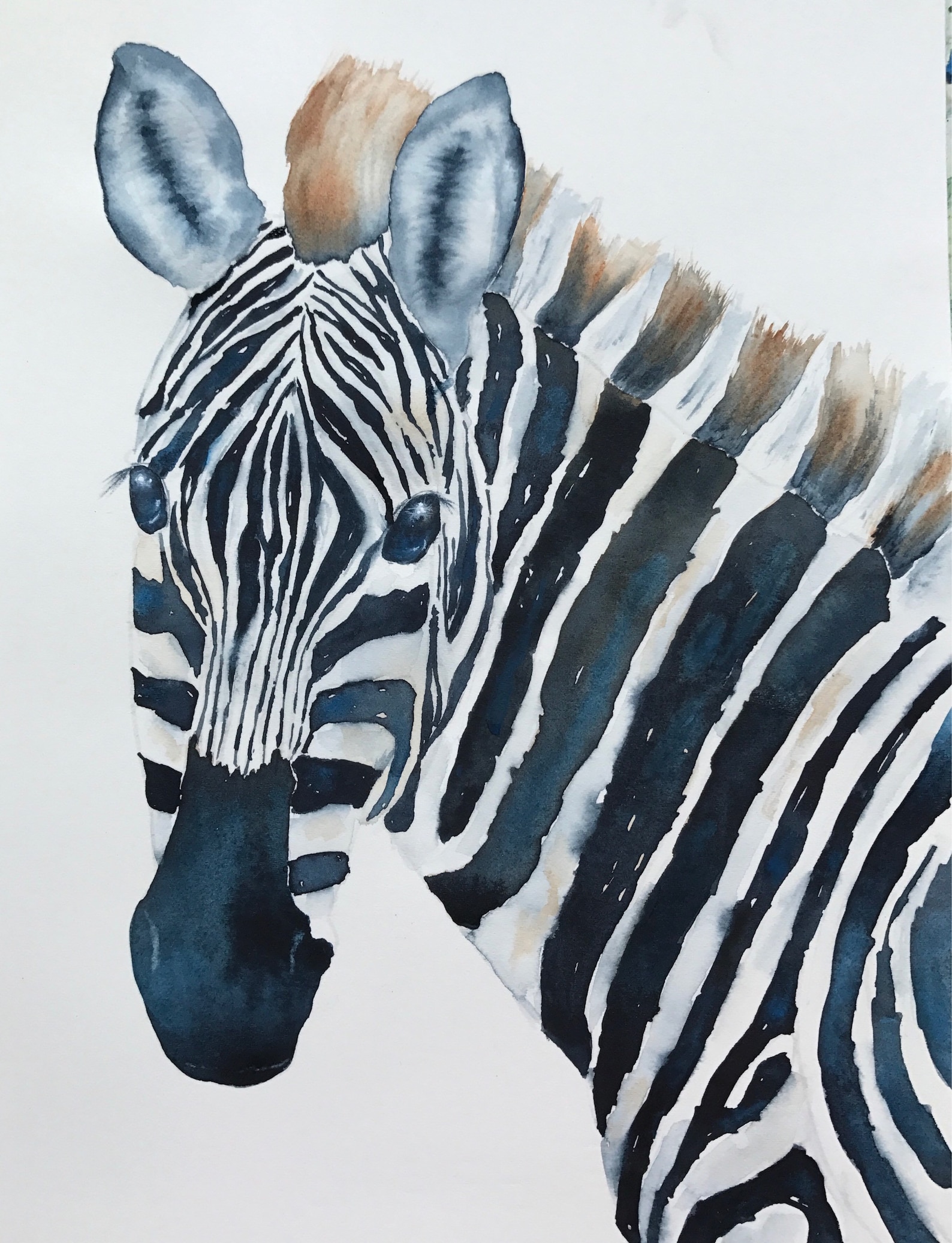 Zebra Art Zebra Decor Wildlife Decor Zebra Wall Art - Etsy