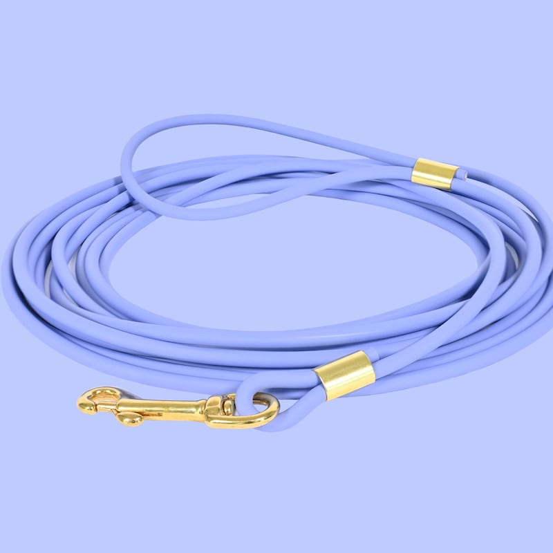 Lightweight Dog Long Line - Etsy