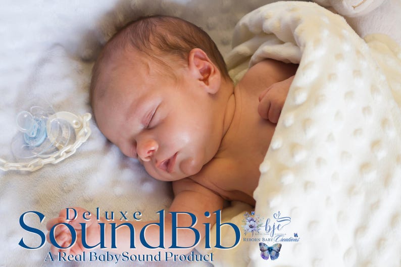 Babysound Bib: Real Baby Sounds in A Sweet Bib! Fun for Interactive ...