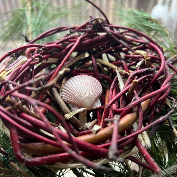 Seashell Birdhouse - Etsy