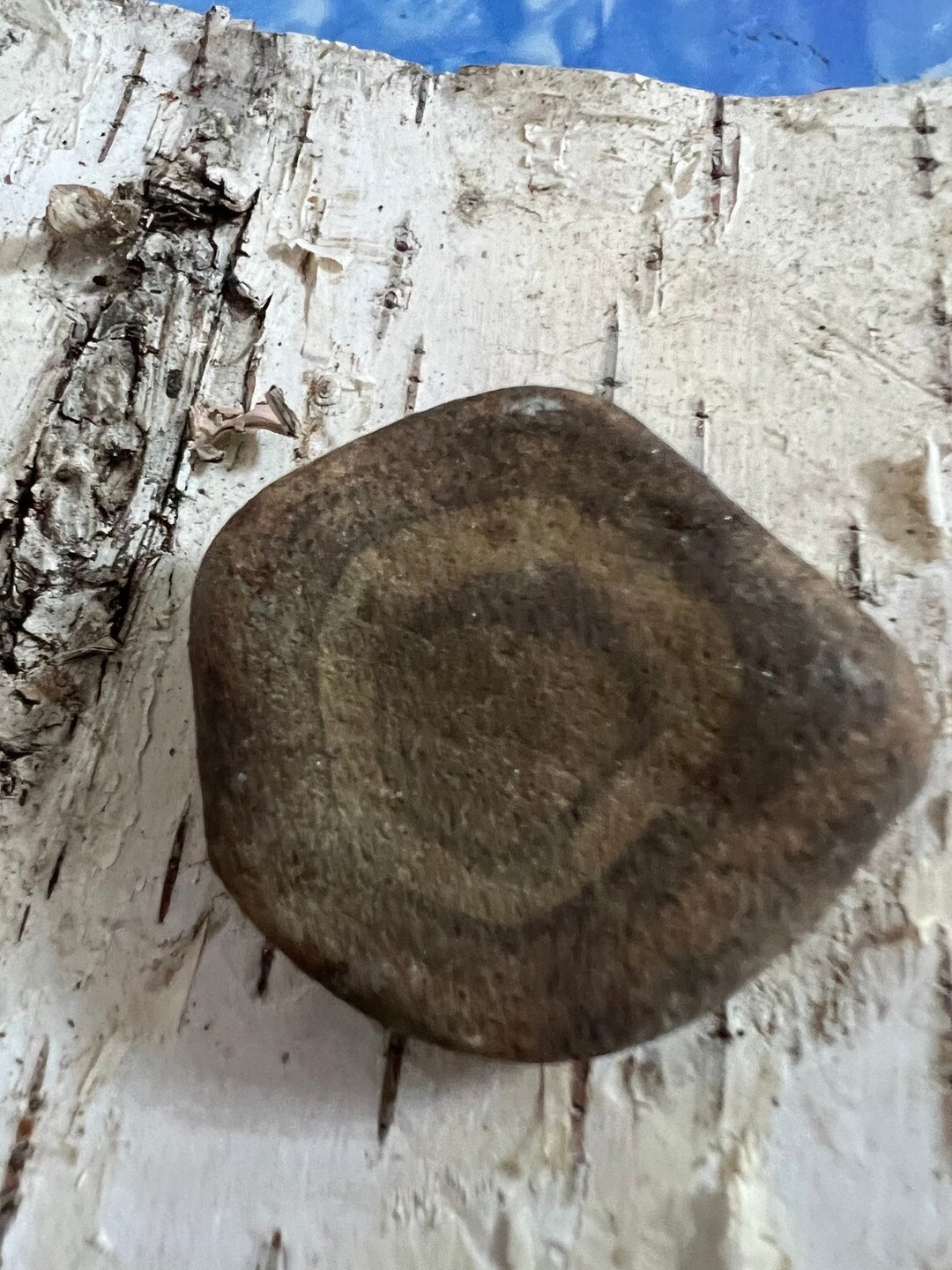 Witch Rock, Hag Stone, Wishing Rock, Nature Decor or Maybe a Fossil ...