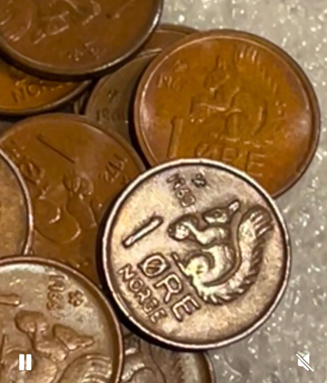 Vintage Norway Squirrel Coins: 13 Pc Norwegian Currency, 1958-1973 - Etsy