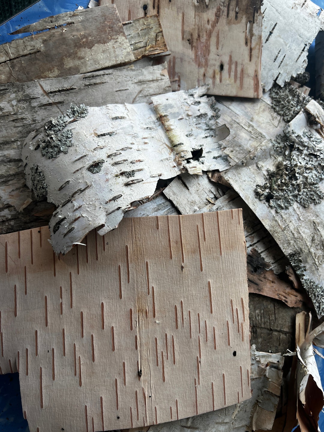 Birch Scraps Bark Paper Thin Crafting Supplies Scrapbook Kit Natural - Etsy