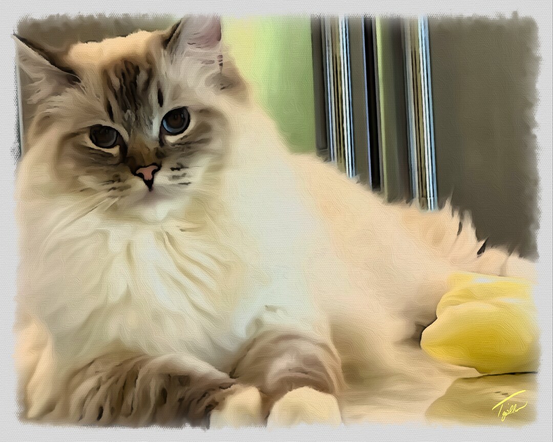 Bumble's Regal Pose Unique Photography Transformed Into Oil - Etsy