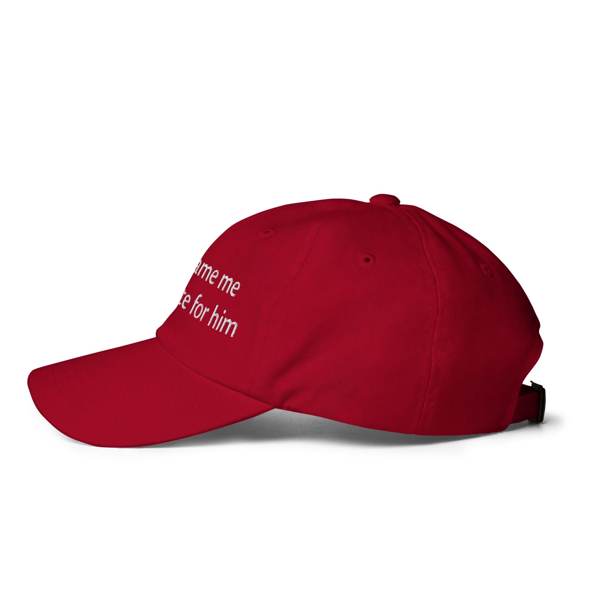 Don't Blame Me, I Didn't Vote for Him Hat, Anti-trump, Anti-maga ...