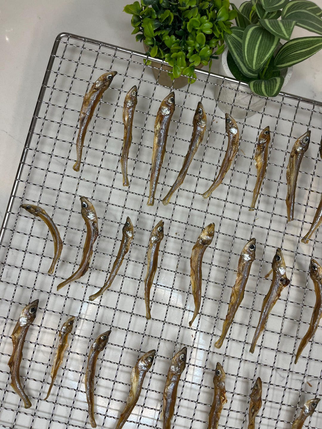 Dehydrated Whole Smelt for Dogs and Cats - Etsy