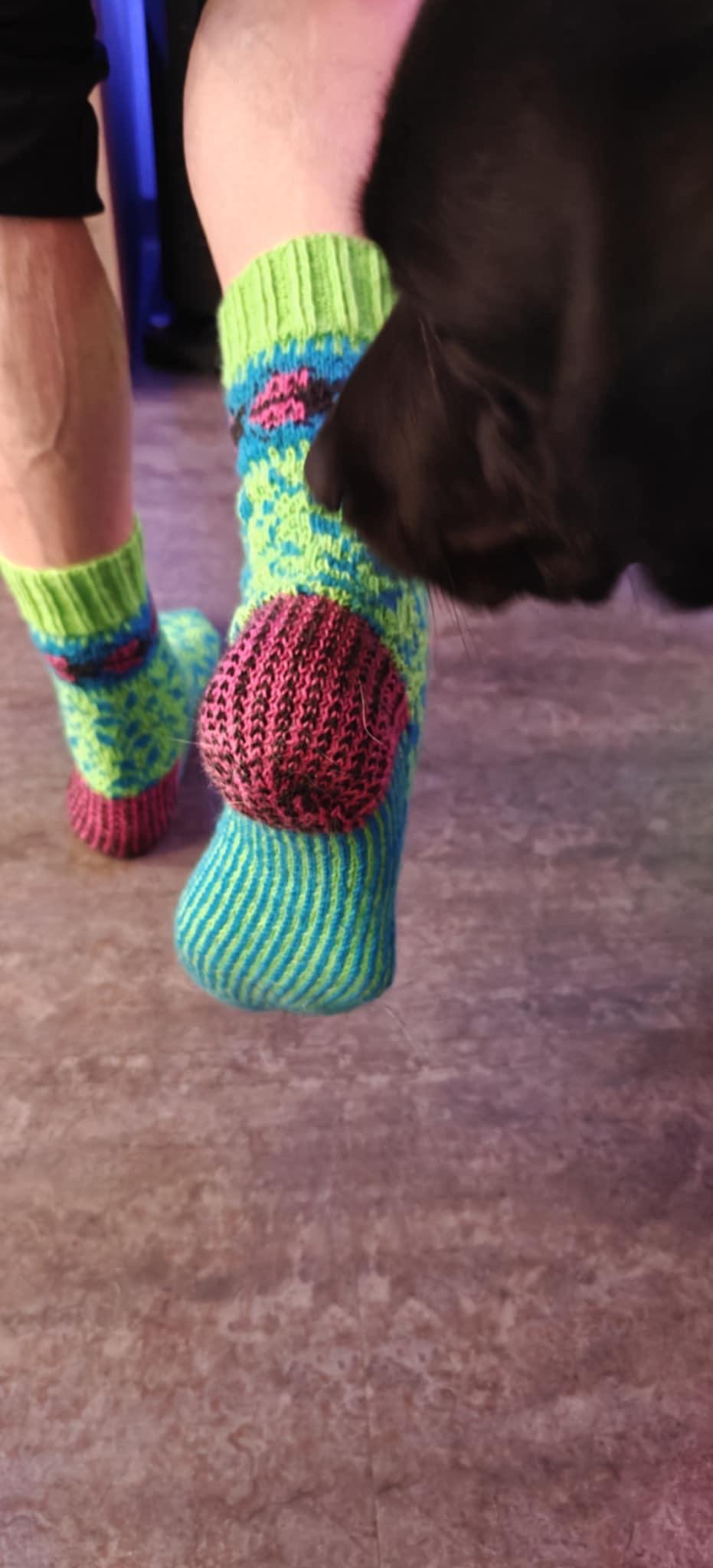 Lady Beetle Socks Knitting Pattern Colourwork Size 38-43, Ladybug ...