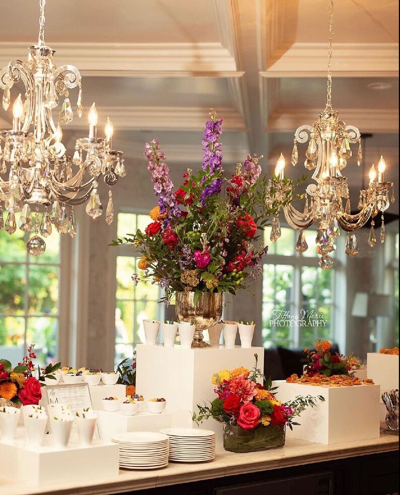 SET OF 8-PREMIUM White Food Display Riser | Cubic Stands Acrylic ...