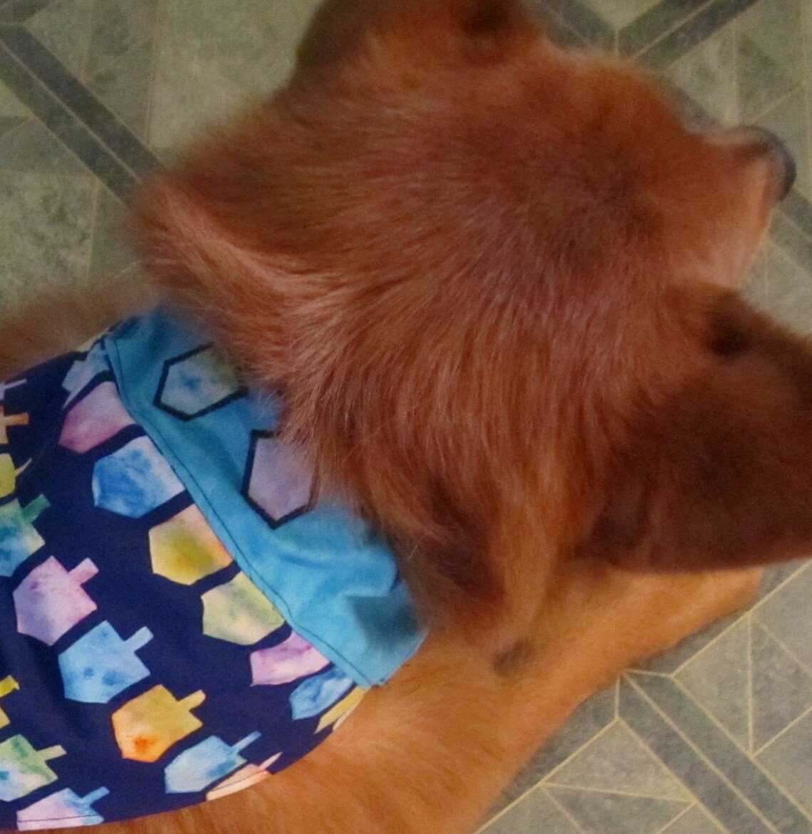 Chanukah Dreidel Dog Bandana - Etsy