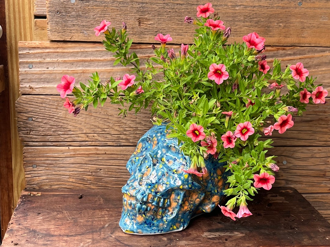 Skull Planter Righteous Randy OOAK - Etsy
