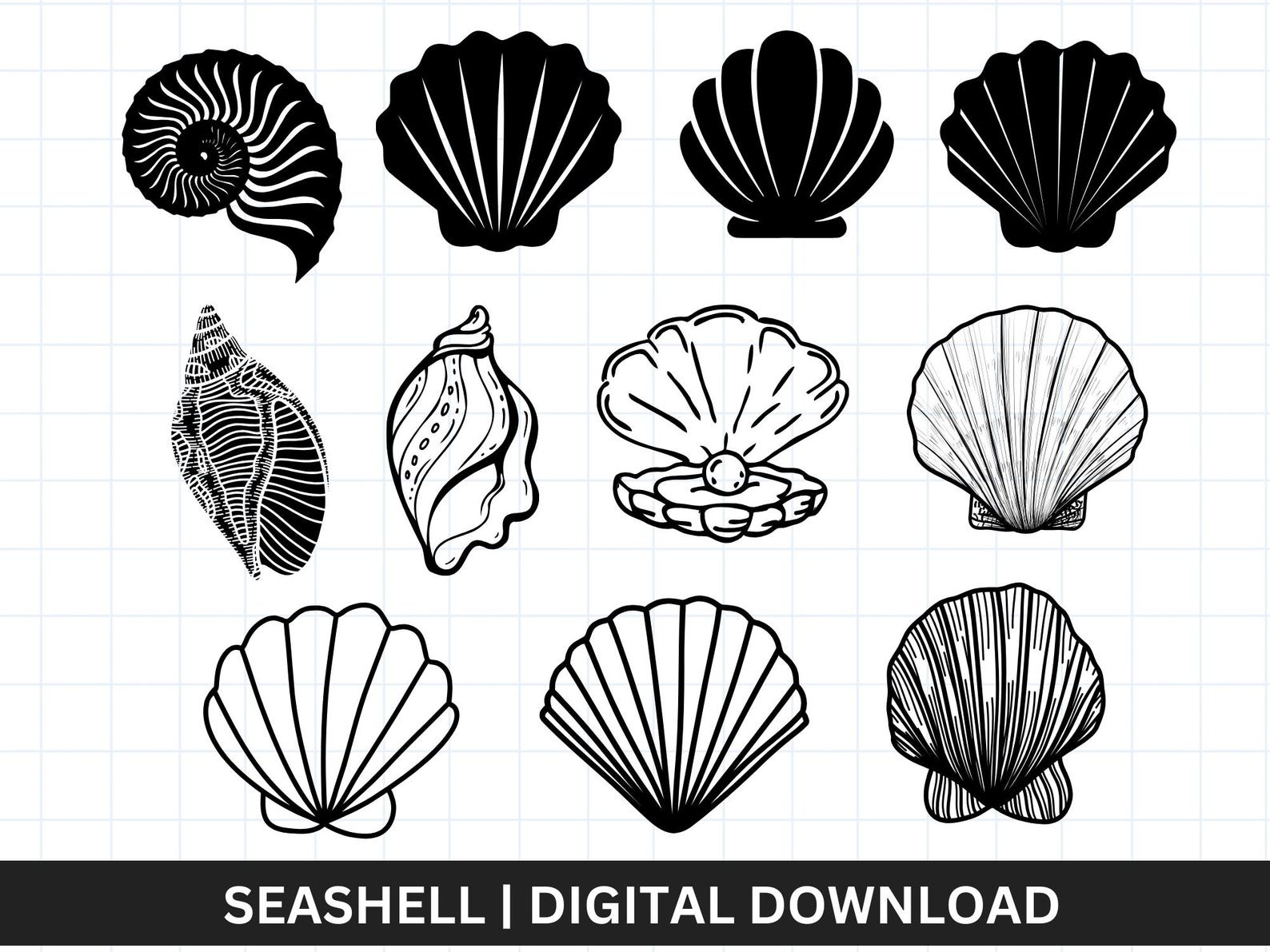 Seashell SVG, Seashell Cricut, Seashell Cut Files, Seashell Silhouette ...