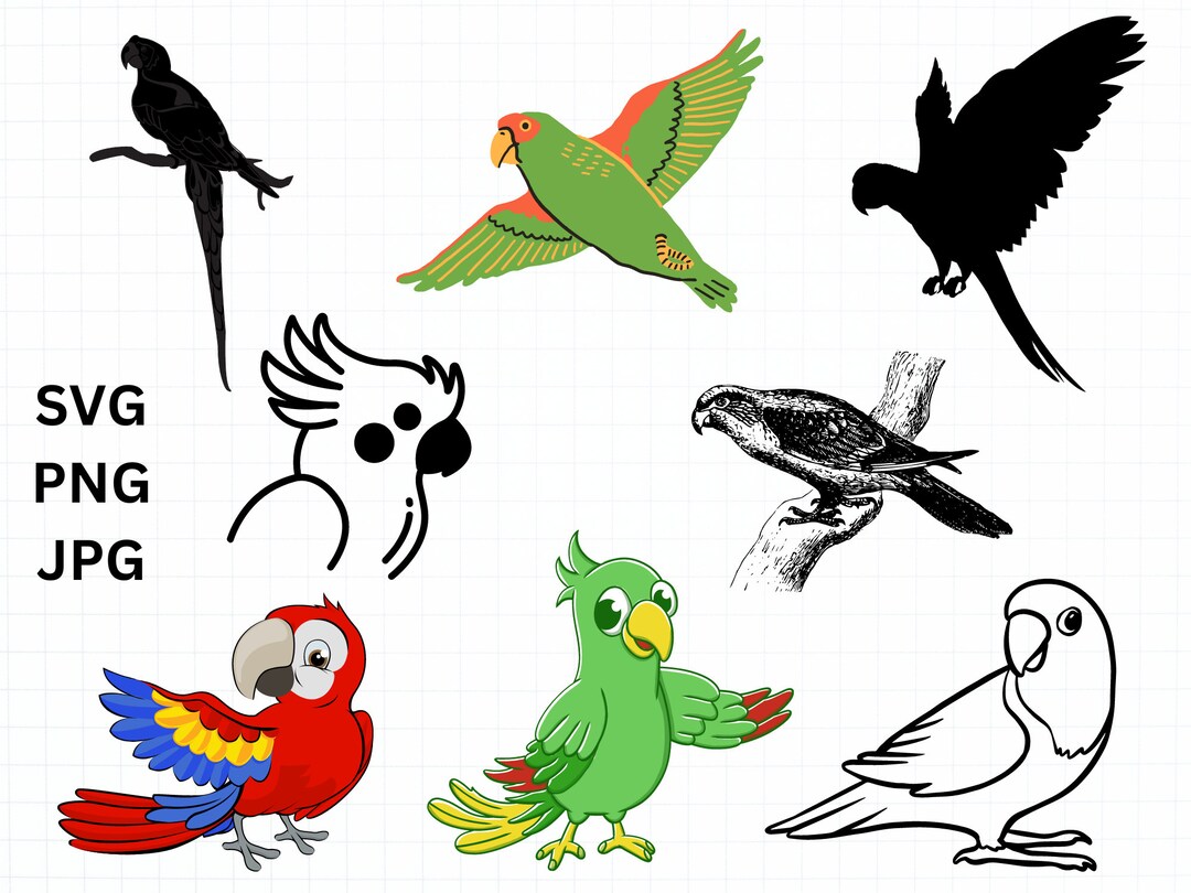 Parrot SVG , Parrot Svg Cut Files, Brid Svg, Parrot Cricut Parrot ...