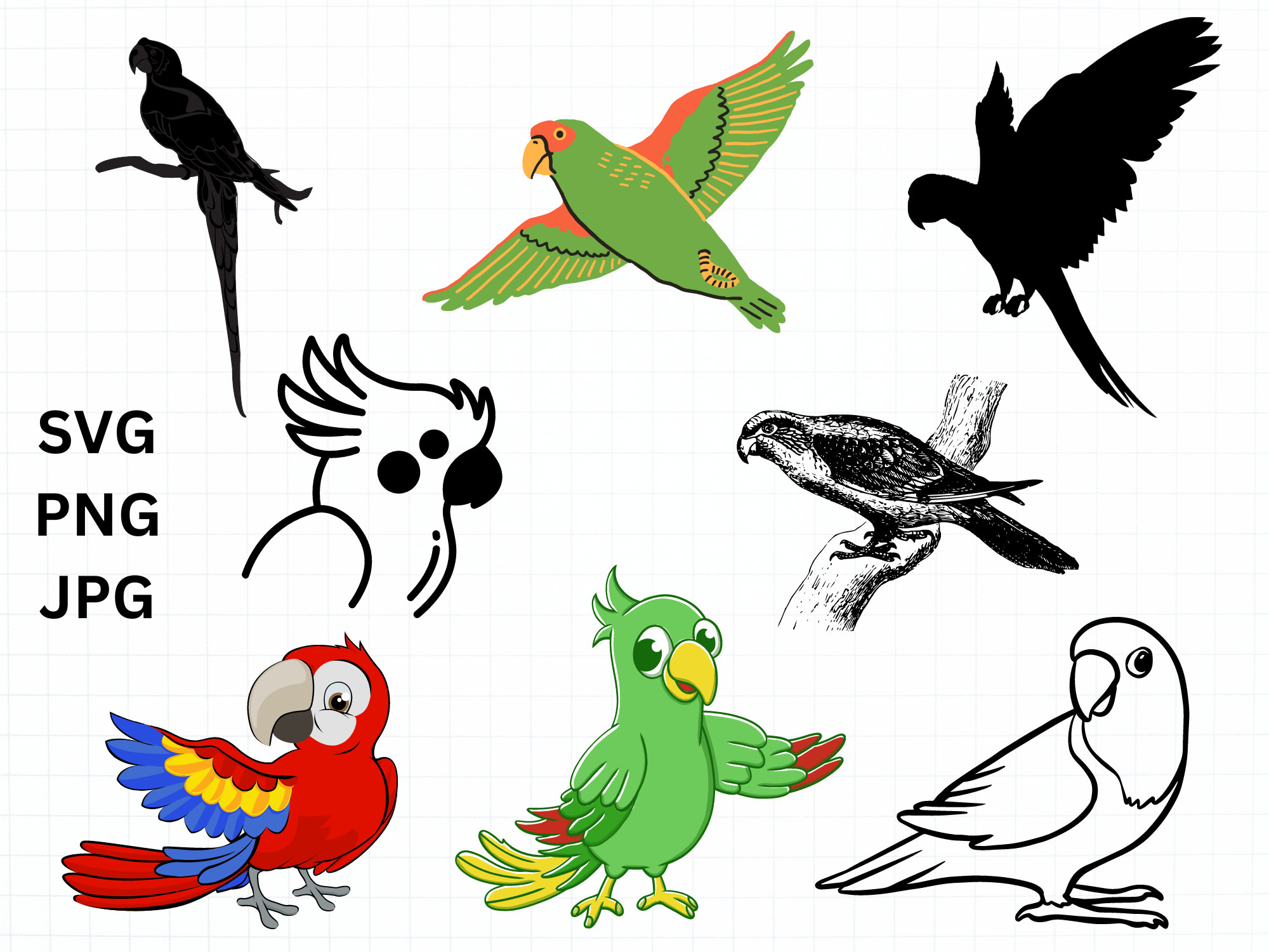 Parrot SVG , Parrot Svg Cut Files, Brid Svg, Parrot Cricut Parrot ...