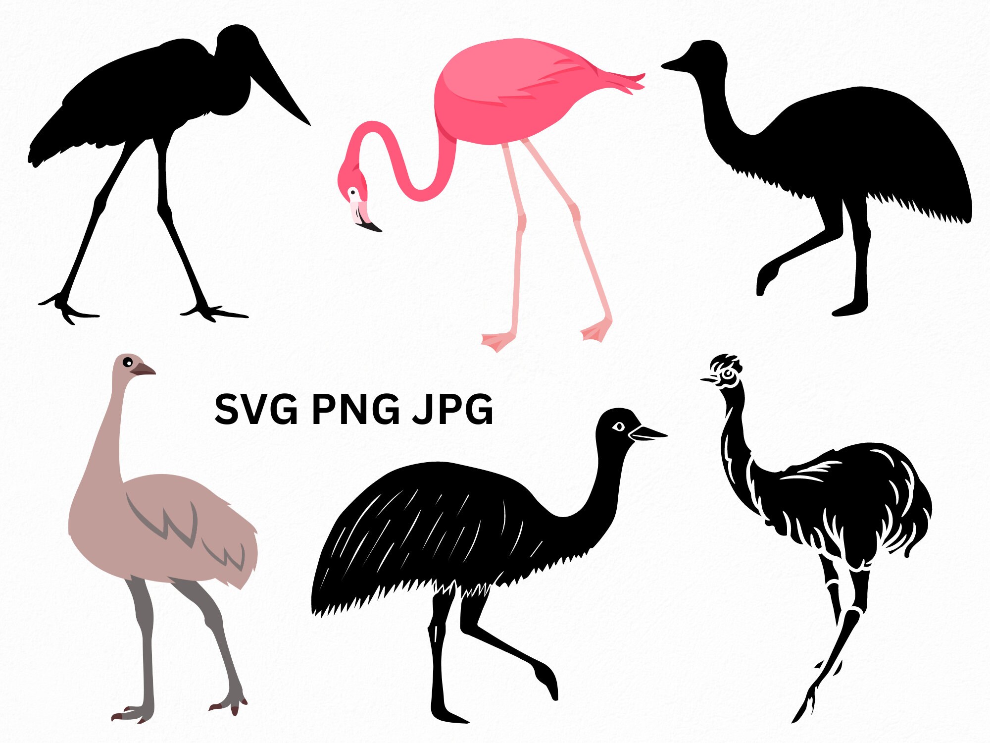 Ostrich SVG Bundle, Ostrich Cricut, Cartoon Ostrich Svg, Zoo Animal ...