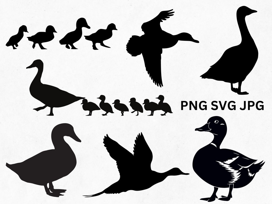 Paquete SVG de pato, Cricut de pato, Svg de pato de dibujos animados ...