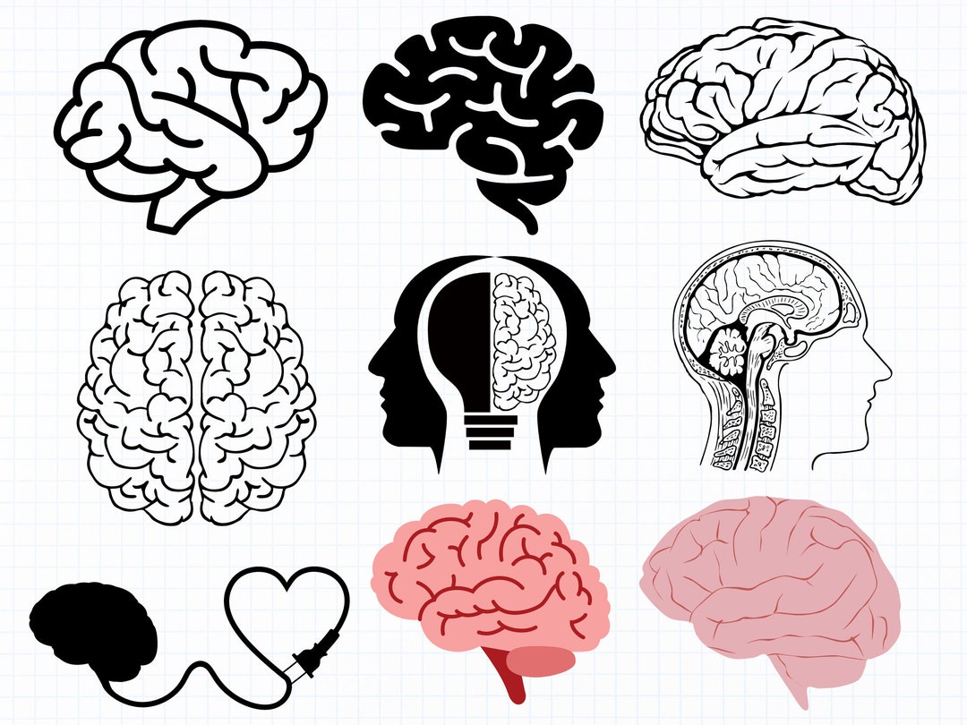 Brain Svg, Human Brain Svg, Brain Png, Brain Clipart, Mental Health Svg ...