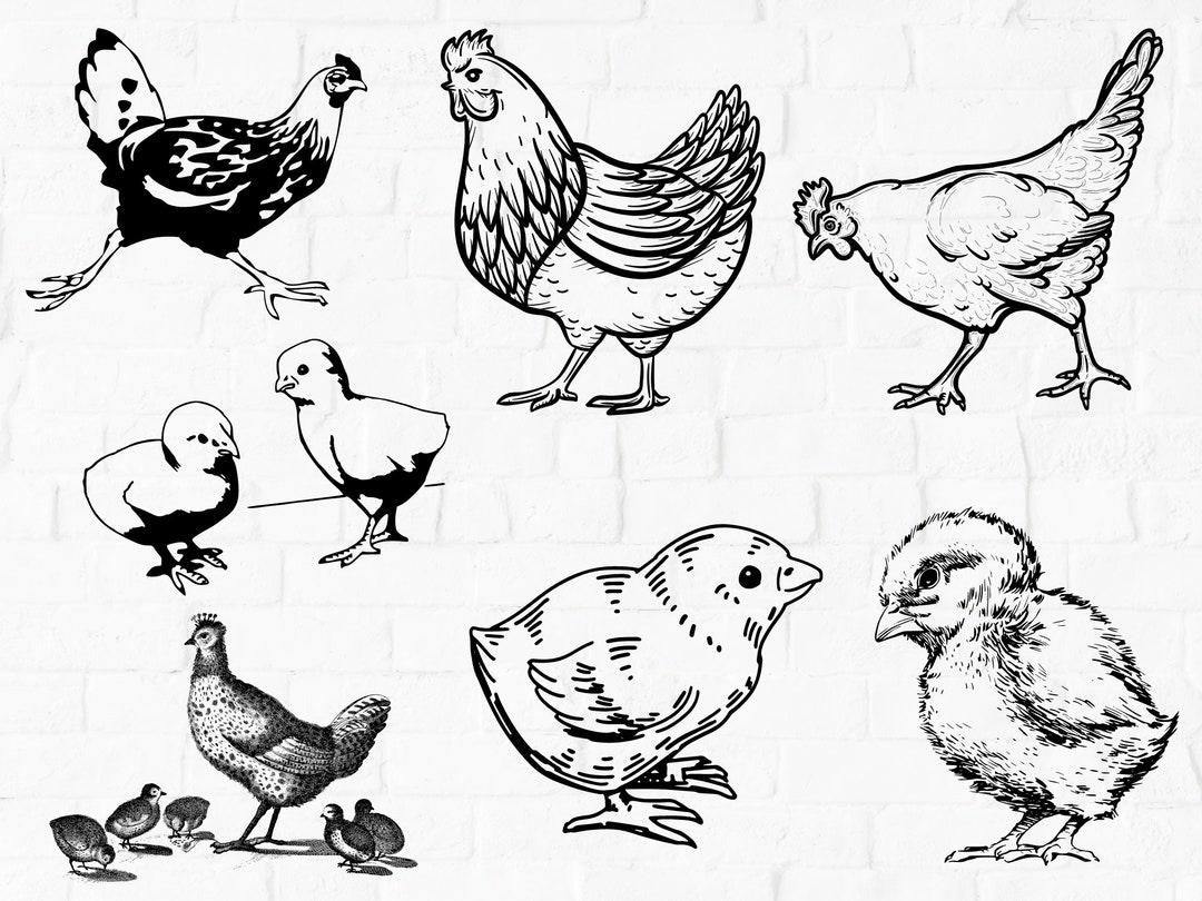 Baby Chick Silhouette SVG Vector Cut File , Baby Chick Svg, Bird SVG ...