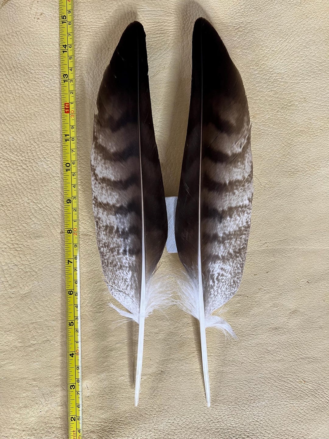 Matching Pair Hawk Feather Set for Smudge Fan, Peyote, Regalia, Pow Wow ...