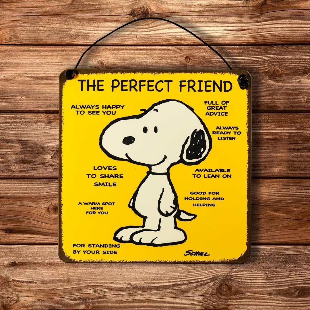 Beautiful Perfect Friend Message Plaque, Ideal Gift for Best Friends ...