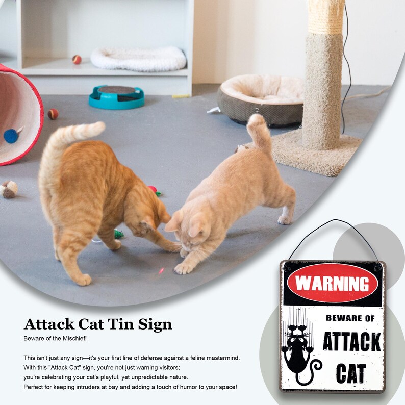 Funny Attack Cat Warning Sign, Quirky Tin Wall Art - Etsy