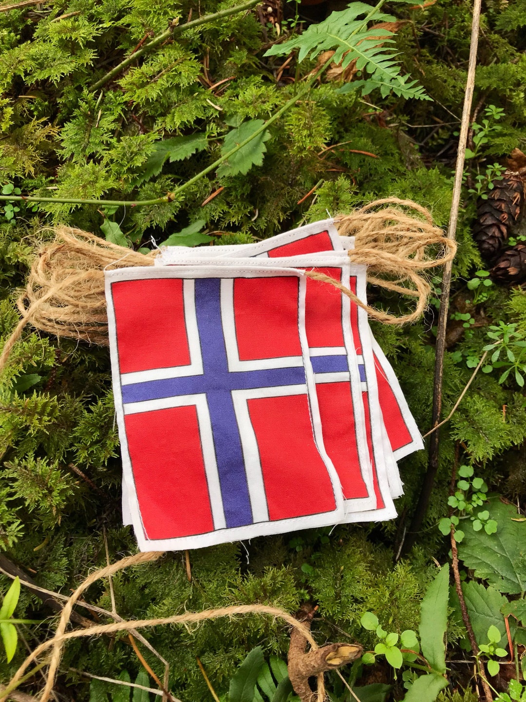 Norwegian Flag Garland - Etsy