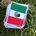 Mexican Flag Garland - Etsy