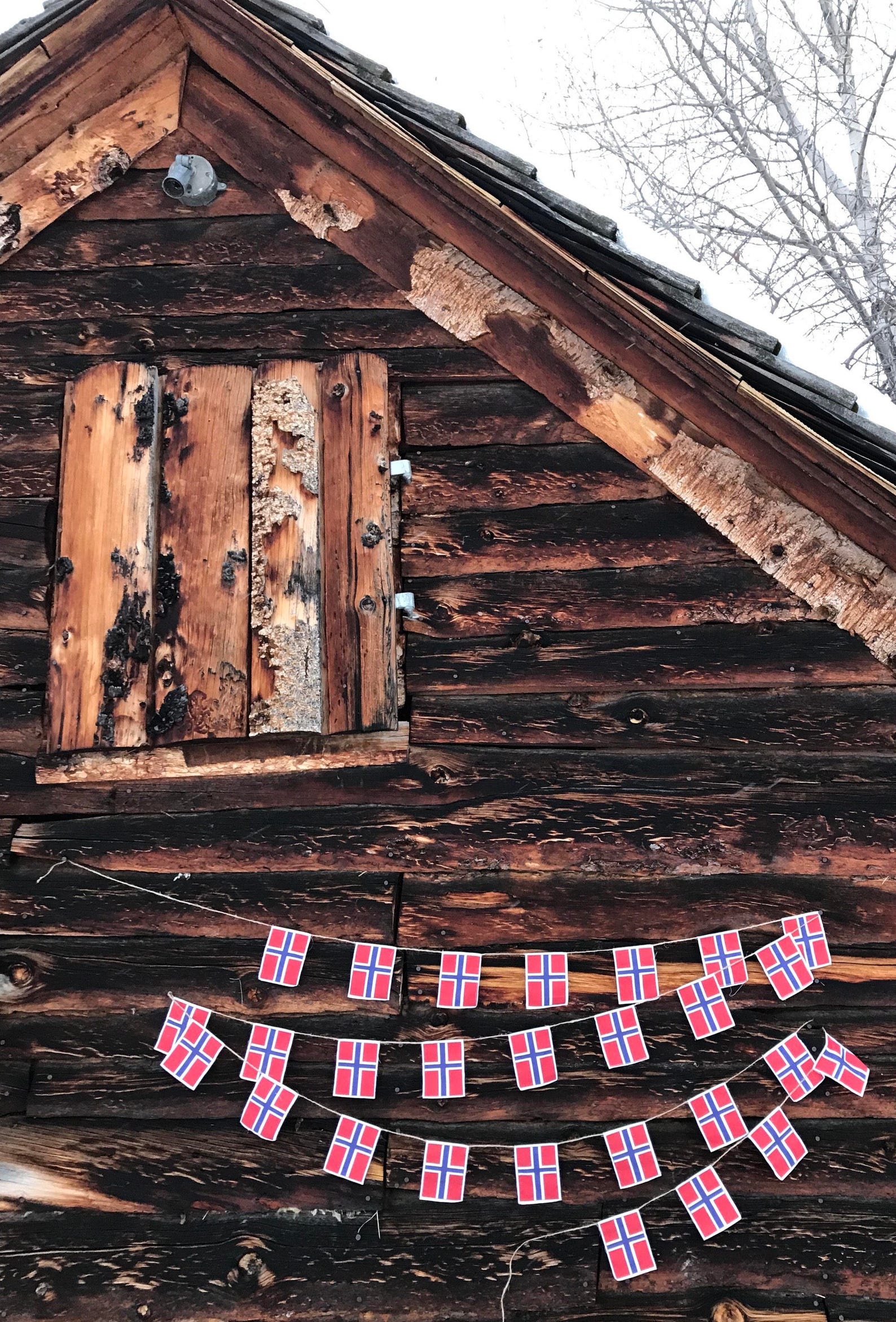 Norwegian Flag Garland - Etsy
