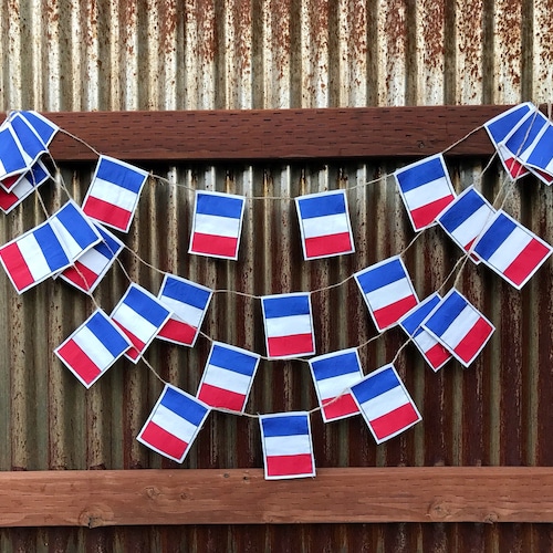 French Flag Bunting Printable Any Phrase DIY France Party - Etsy
