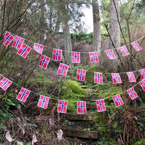 Norwegian Flag Garland - Etsy